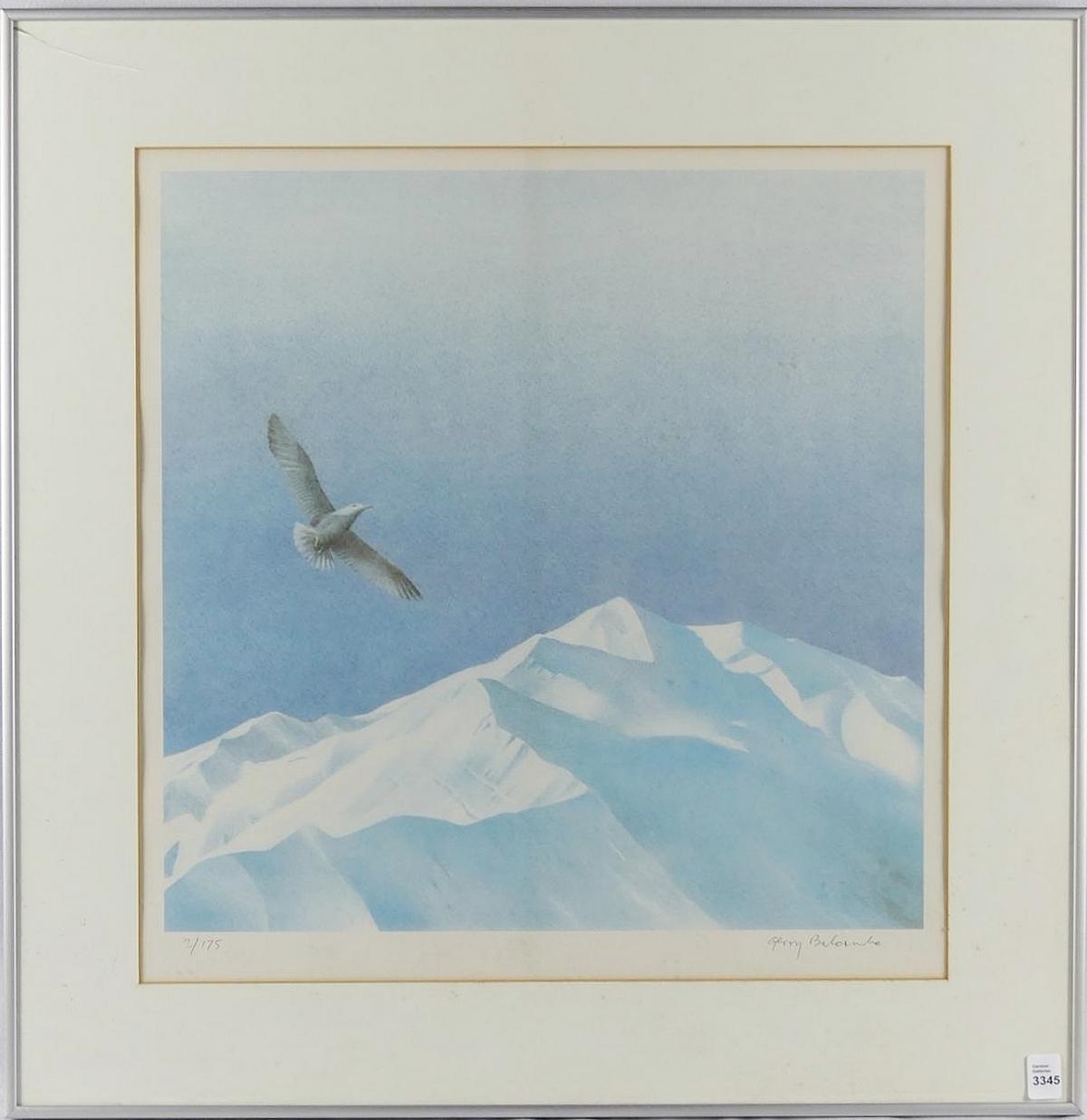 Gerry Balcombe | Untitled: Soaring High | MutualArt