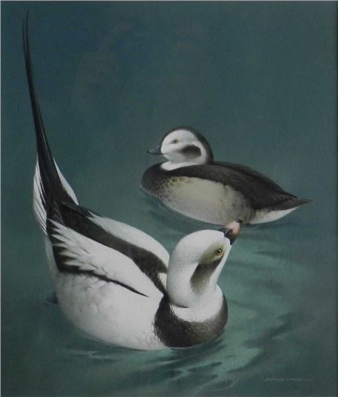 Raymond C. Watson | Long-Tailed Duck Clangula Hyemalis | MutualArt