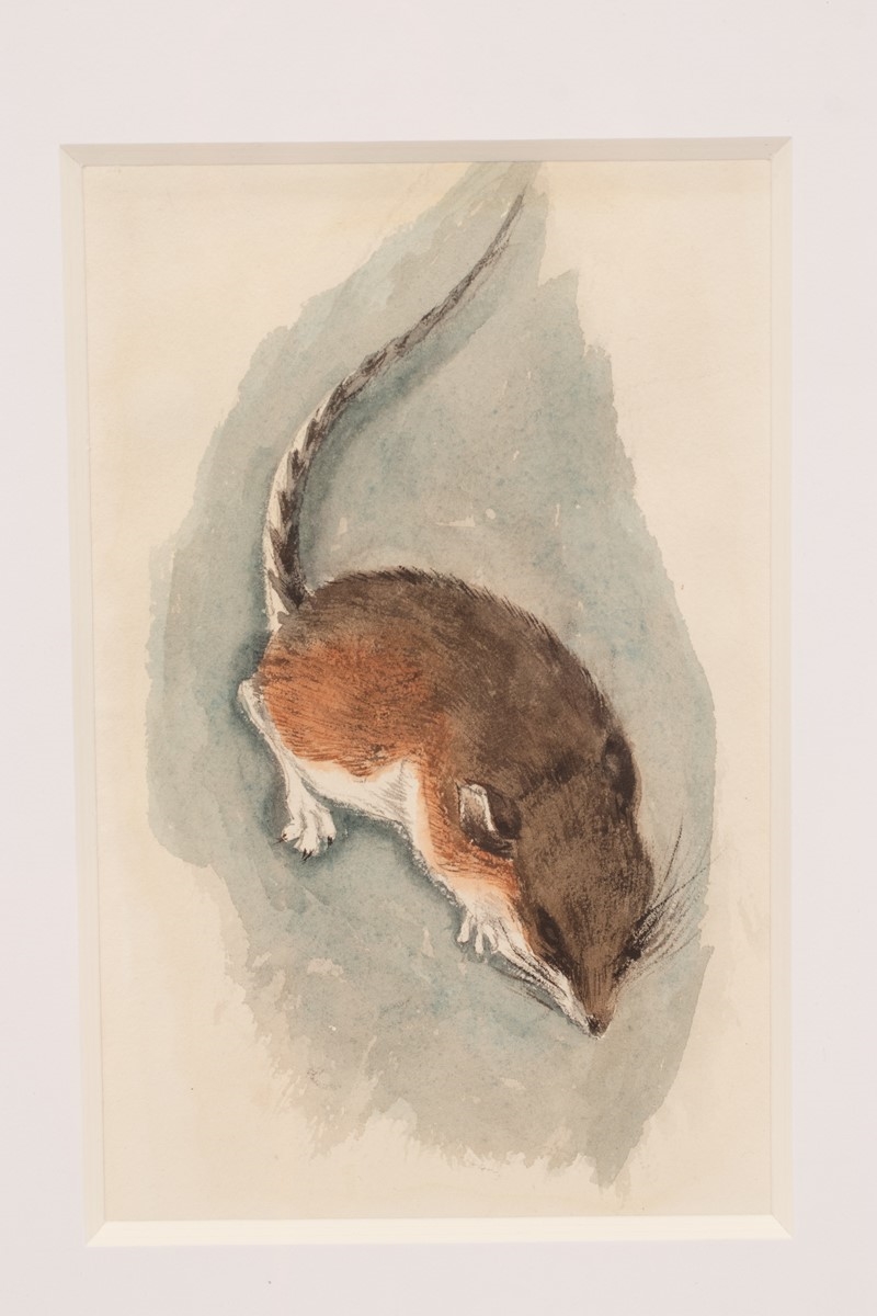 Charles Culver | MOUSE | MutualArt