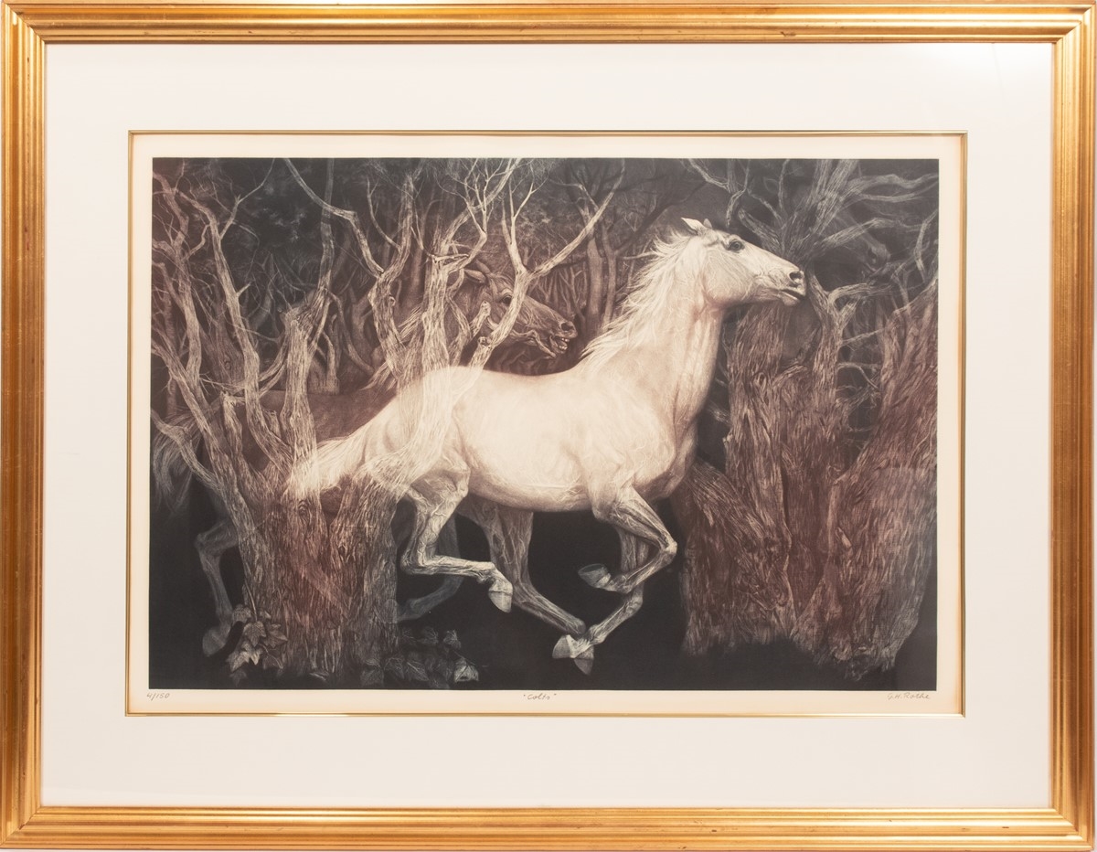 Gatja Helgart Rothe | COLTS | MutualArt