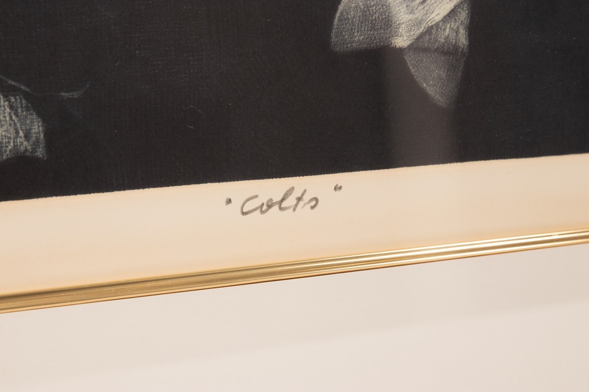 Gatja Helgart Rothe | COLTS | MutualArt