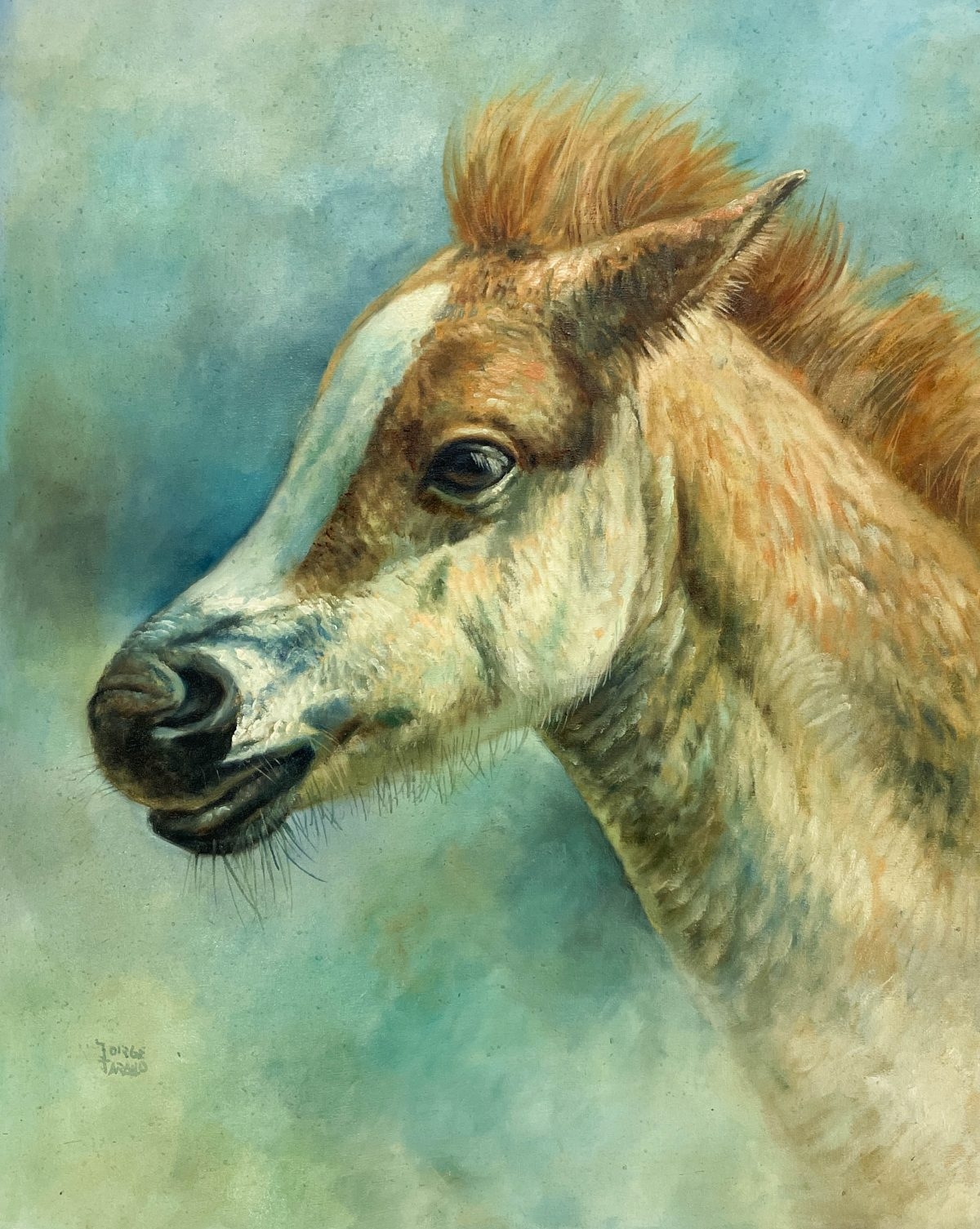 Jorge Tarallo | Tan and White Foal | MutualArt