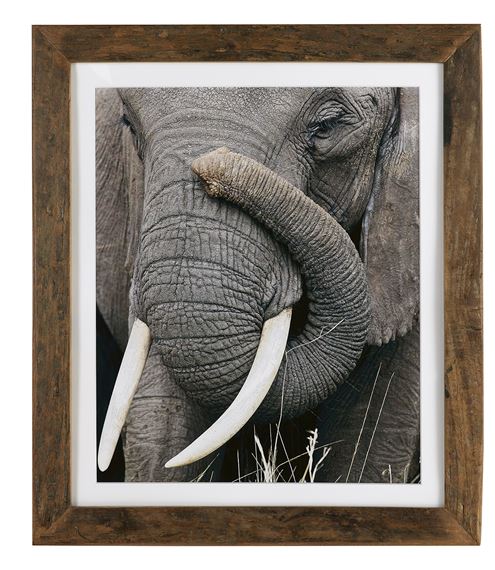 Stephanie Freid Perenchio 3 Artworks At Auction Mutualart