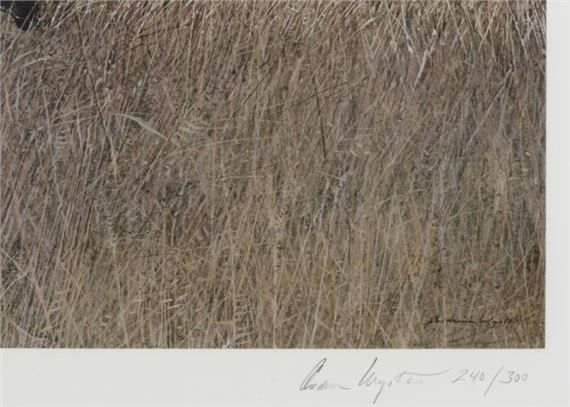 Andrew Wyeth | DISTANT THUNDER (1980) | MutualArt