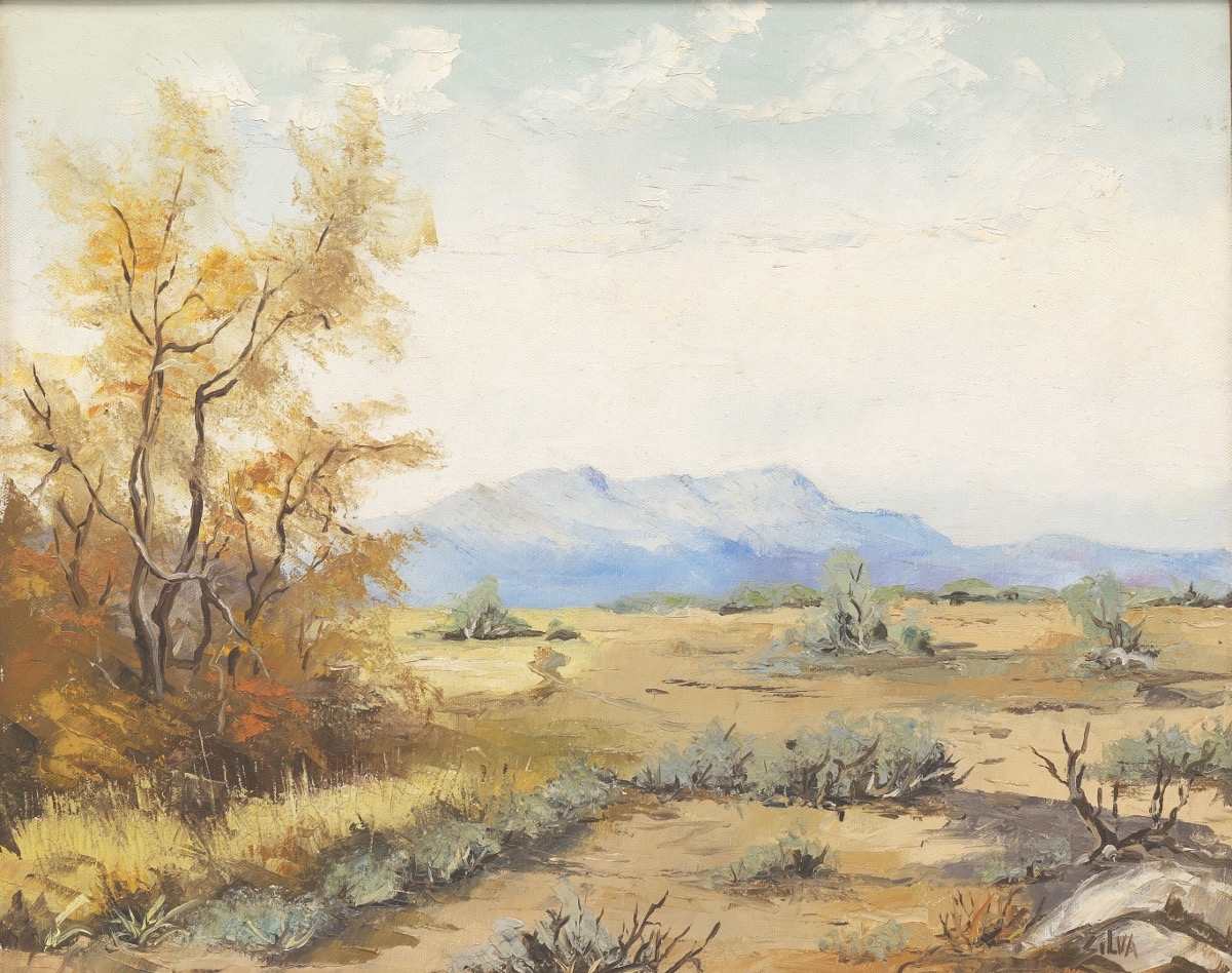 William Posey Silva | Western landscape | MutualArt