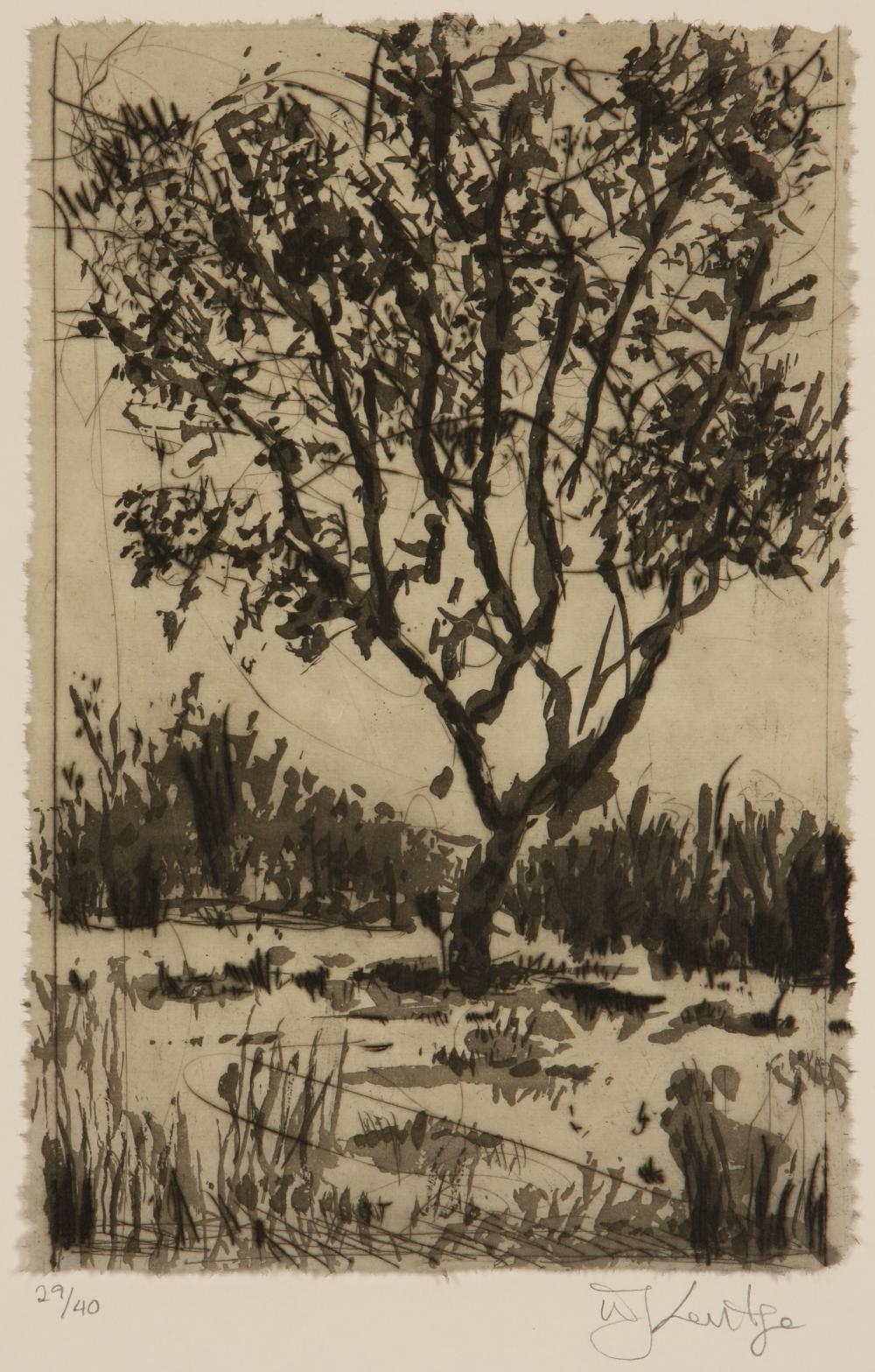 William Kentridge Tree