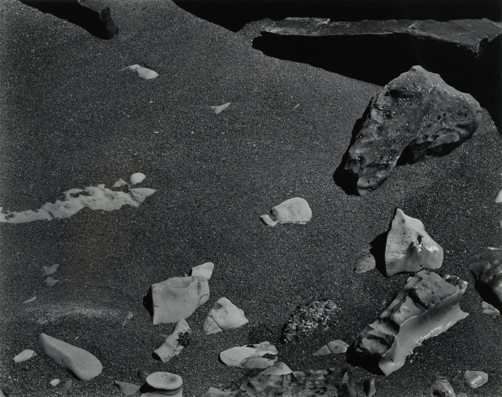 Edward Weston | Point Lobos, | MutualArt