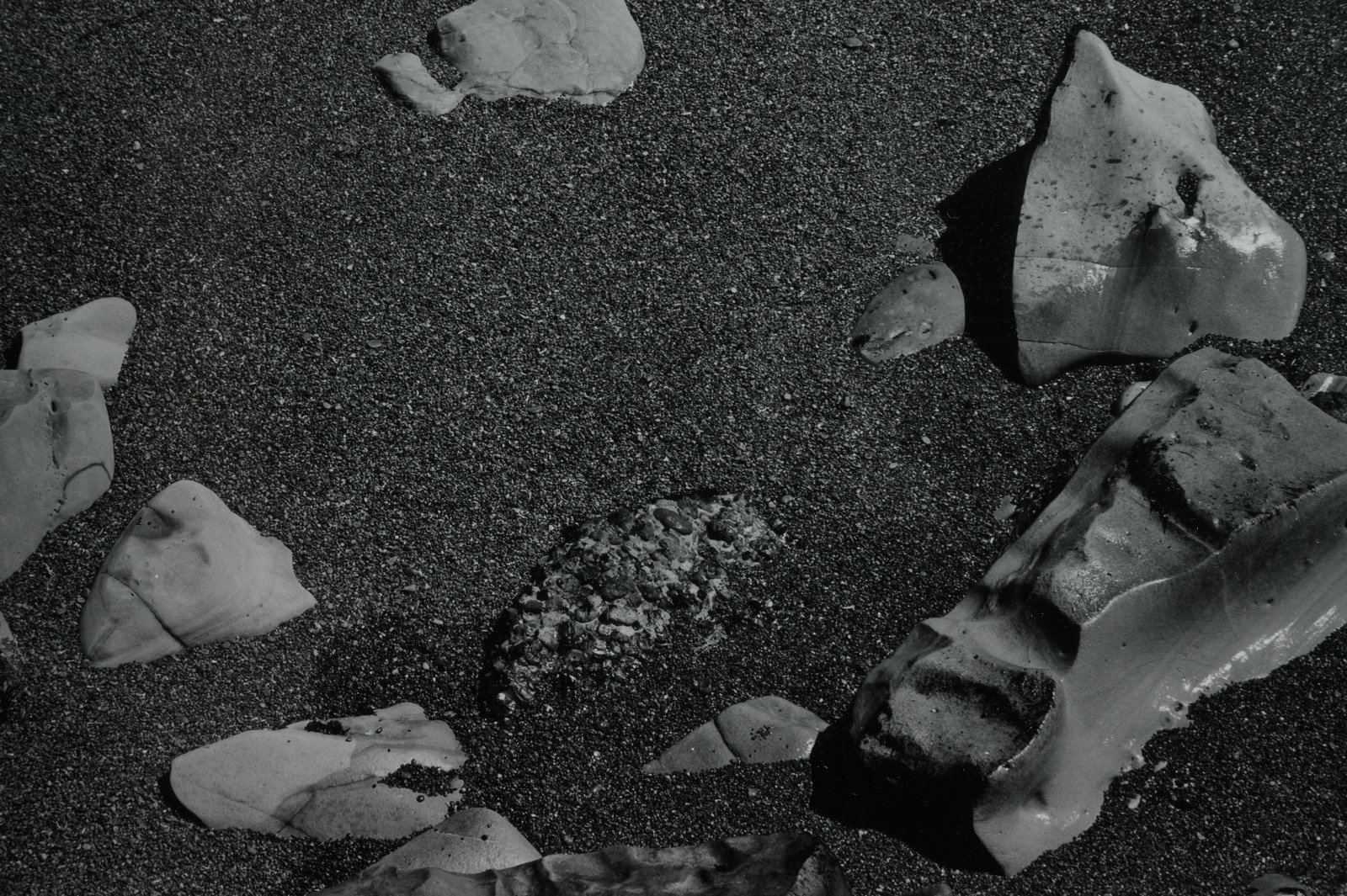 Edward Weston | Point Lobos, | MutualArt