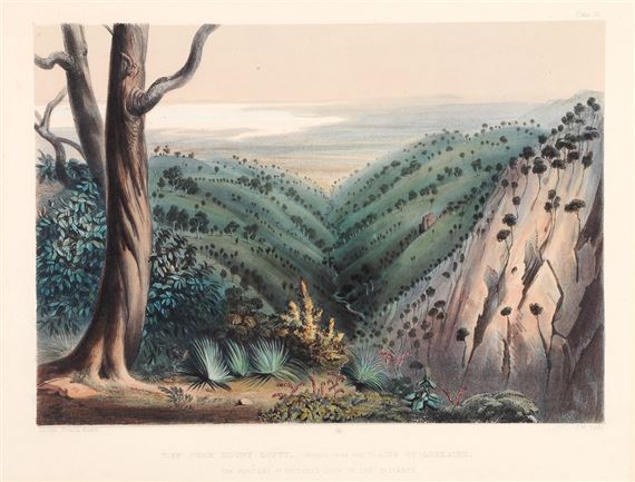 George French Angas | View from Mount Lofty Looking Over The Plains Of ...