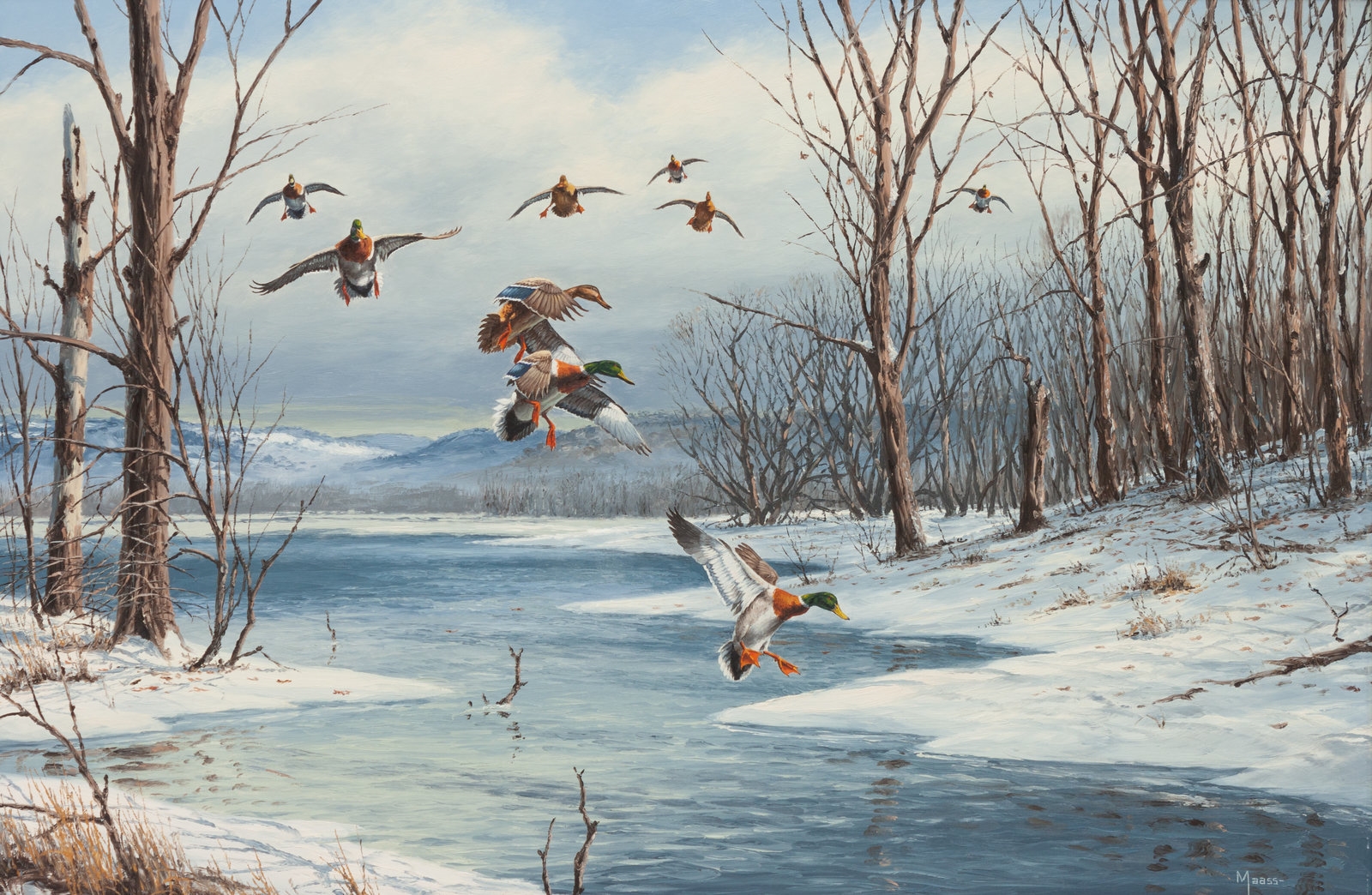 David Maass | Ducks Landing | MutualArt