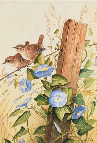 Thomas Gibb | BIRD STUDY | MutualArt