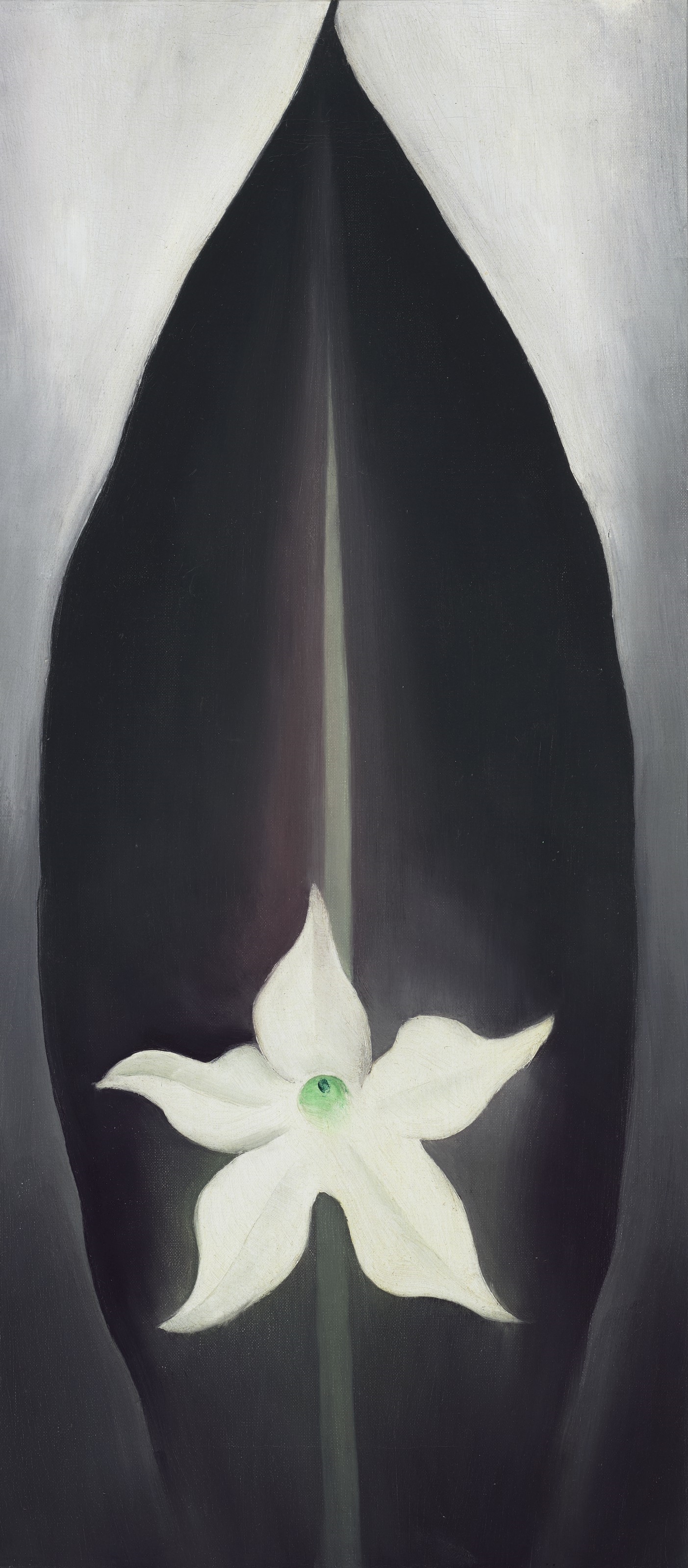 Georgia O'Keeffe | Autumn Leaf with White Flower (1926) | MutualArt