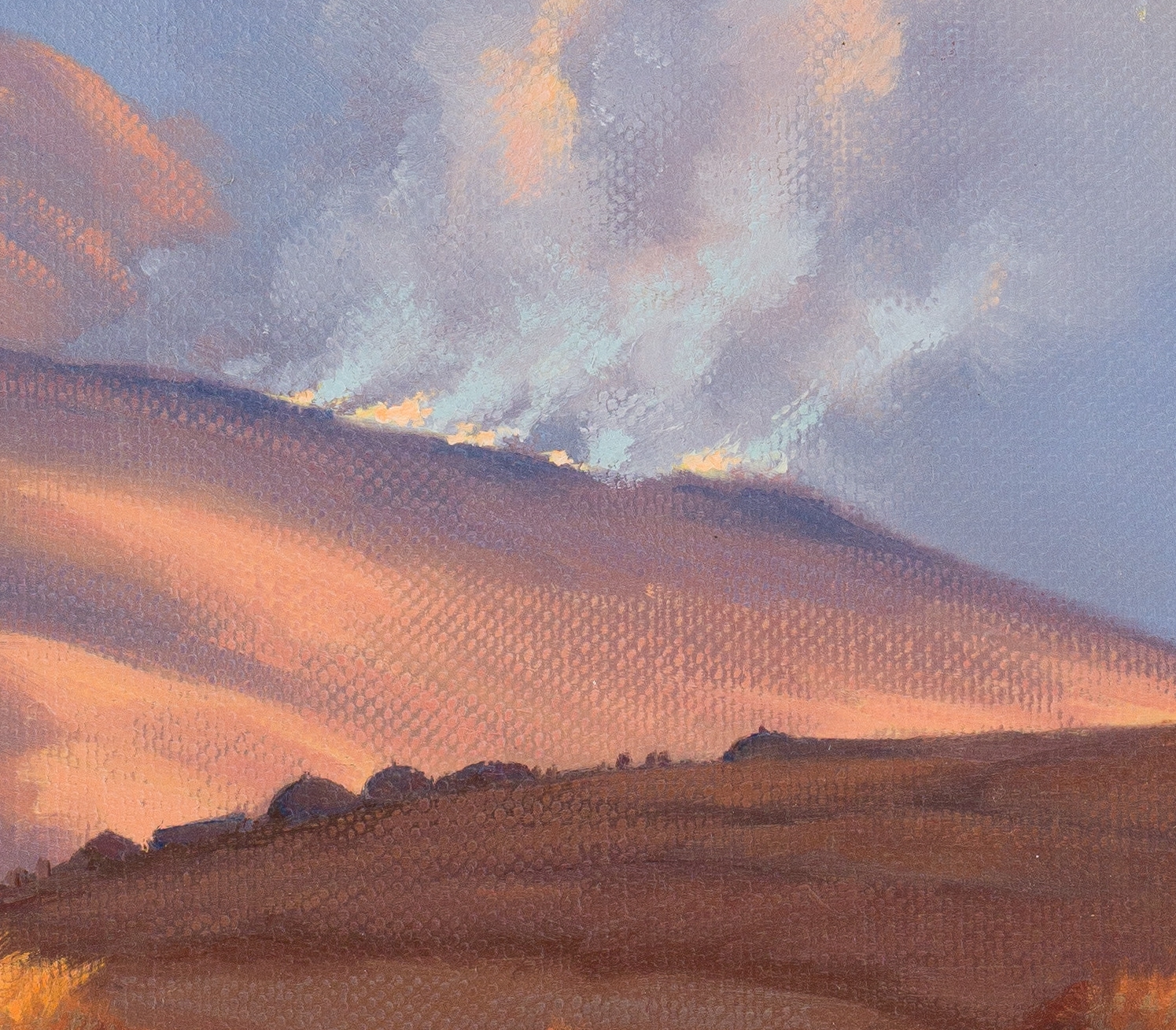 Willem Hermanus Coetzer | Veld Fire in Natal Mountain Landscape (57 ...