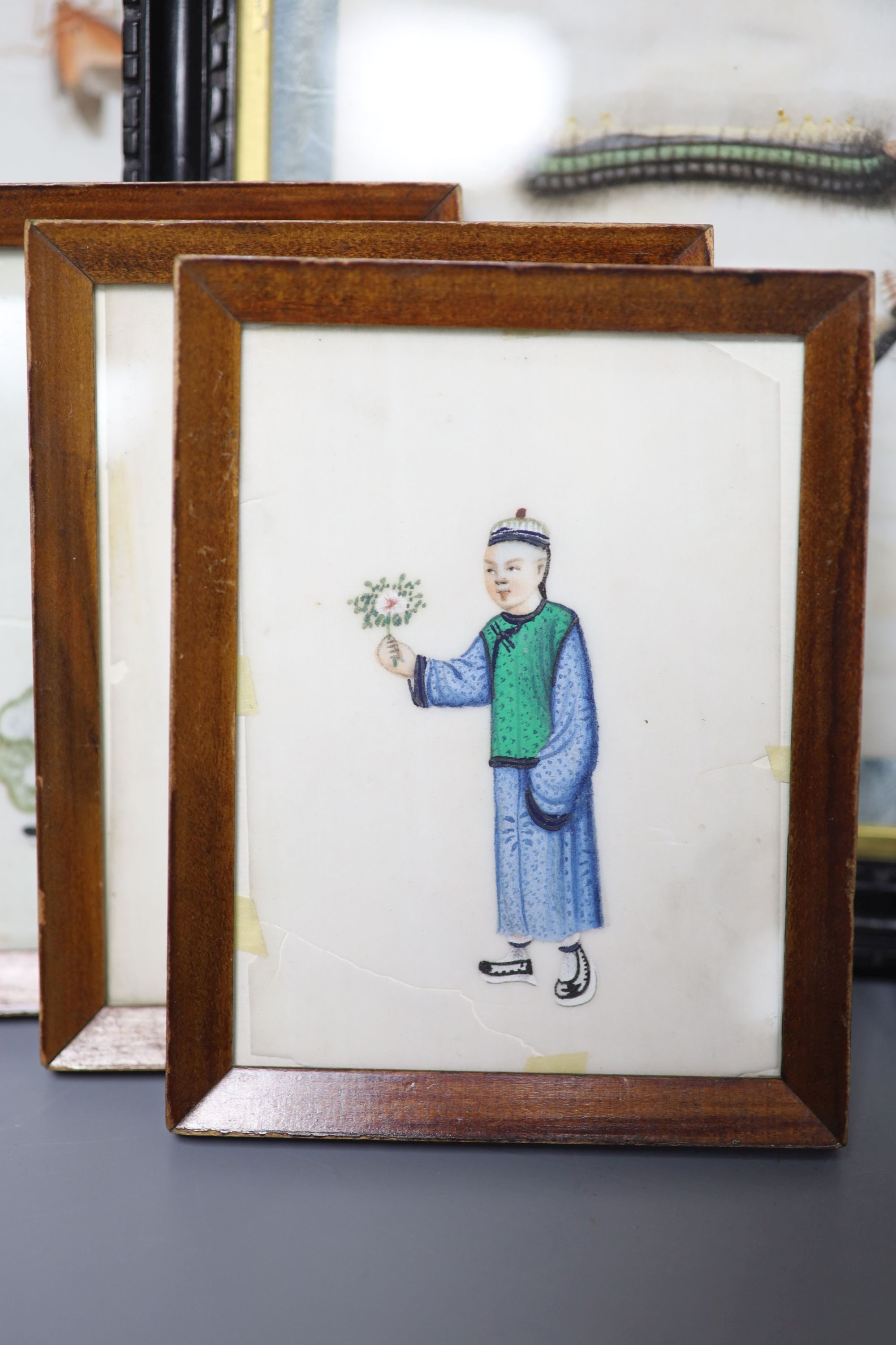 Chinese School, 19th Century | Four Chinese pith paintings of insects ...