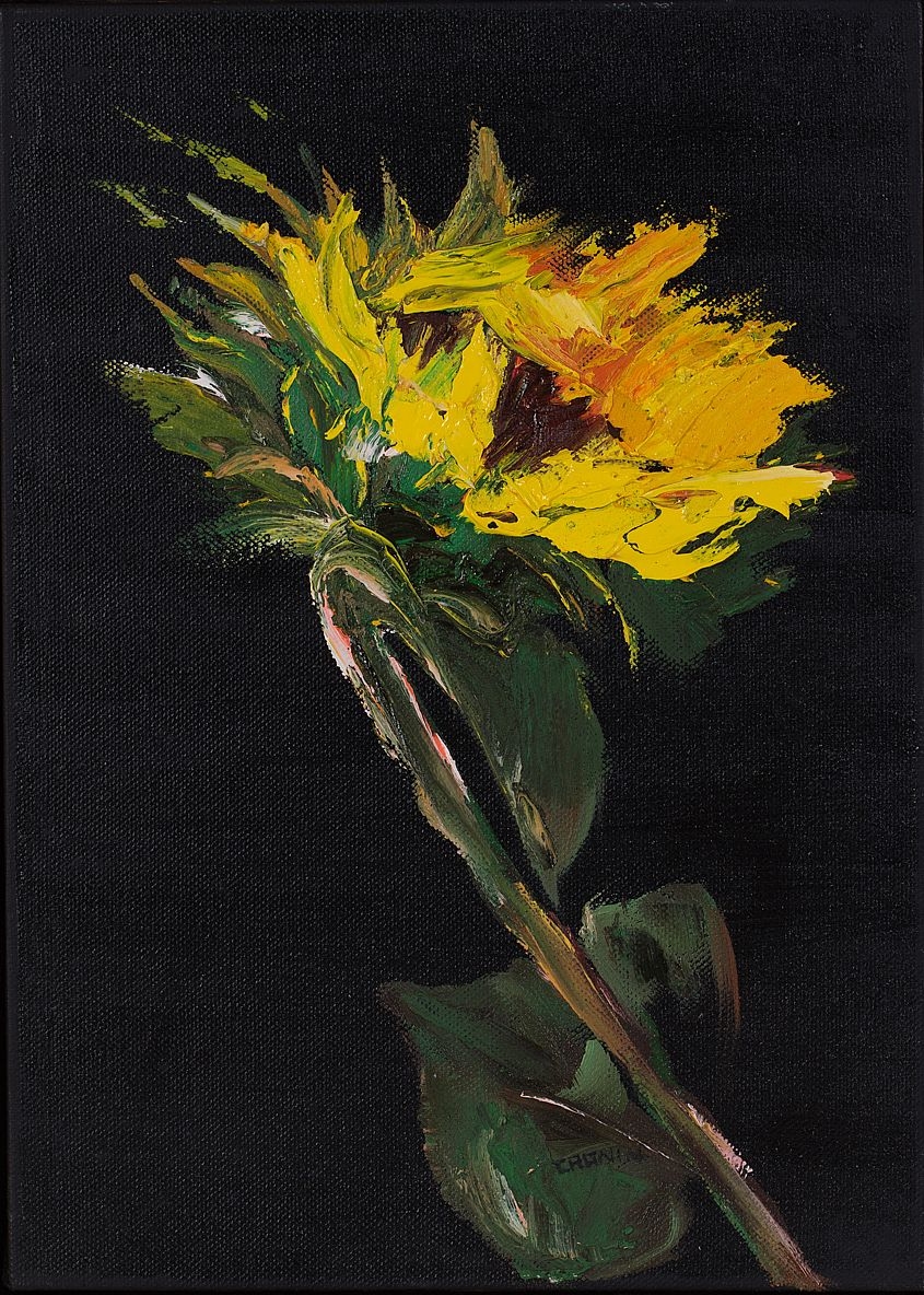 Susan Cronin | SUNFLOWER | MutualArt