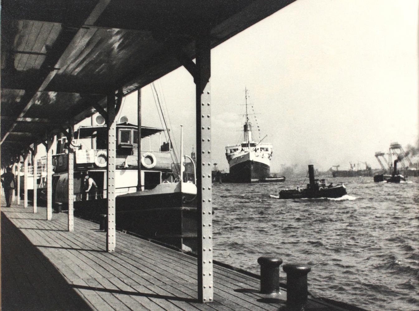 Liselotte Purper | 4 Photos | MutualArt