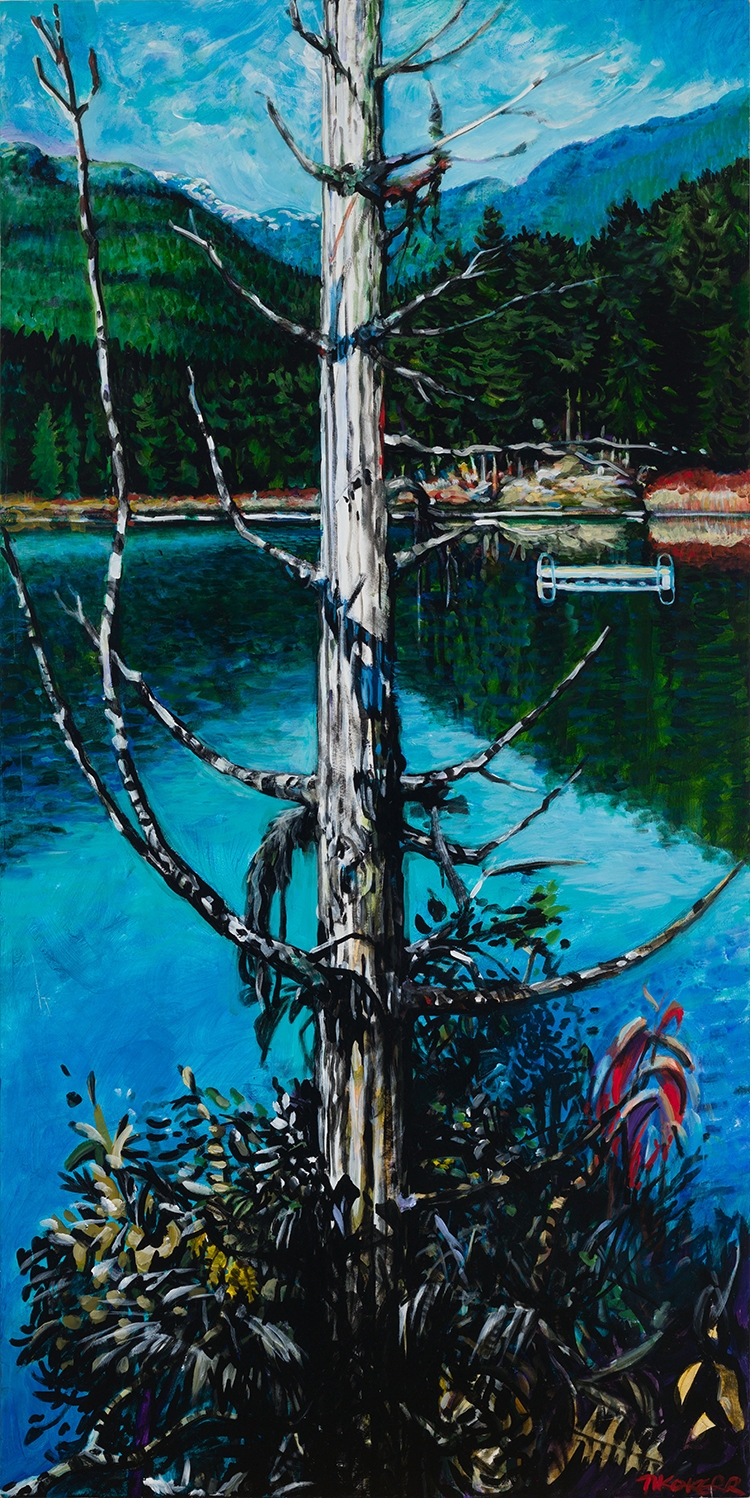 Tiko Kerr | Snag Over Lost Lake (2008) | MutualArt
