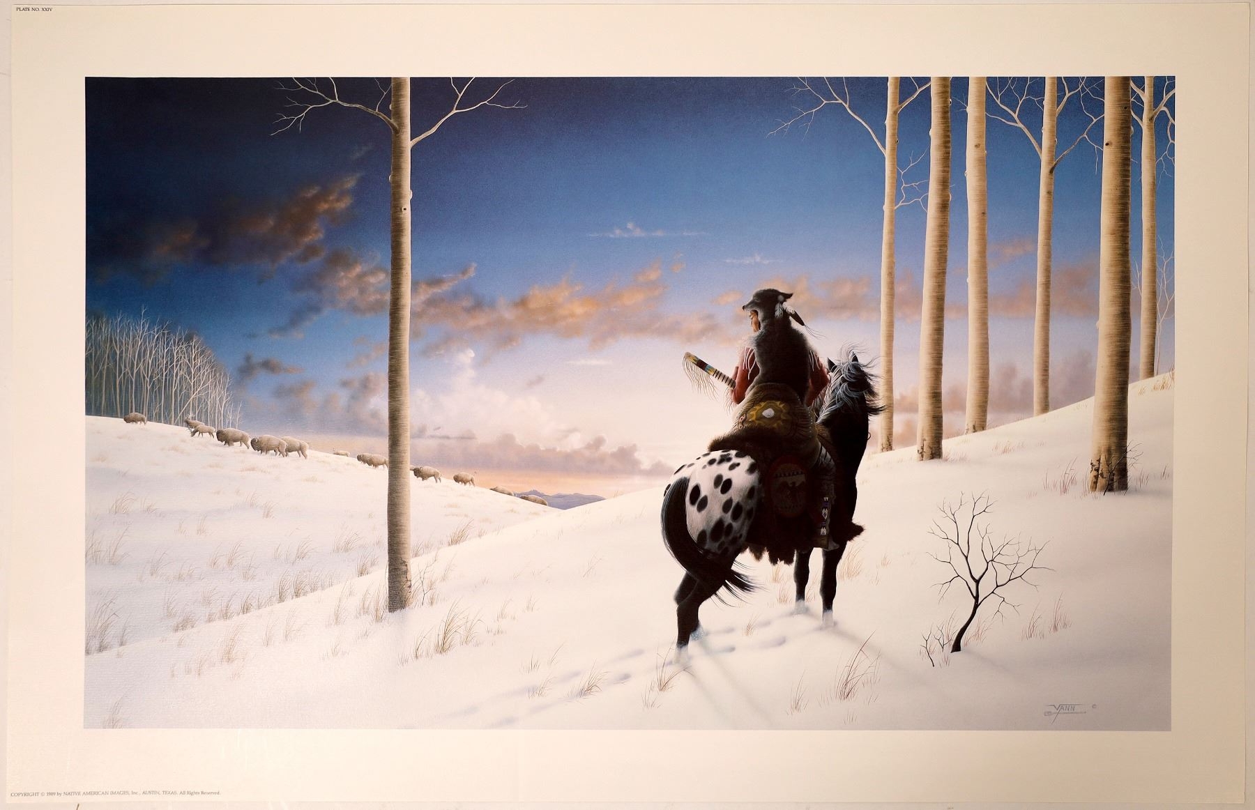 Donald Vann | Indian On Horse and Buffalo | MutualArt