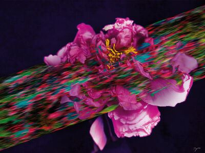 Song Ting | 1 Artworks at Auction | MutualArt