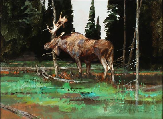 Dennis P. Anderson | A bull moose rubbing velvet | MutualArt