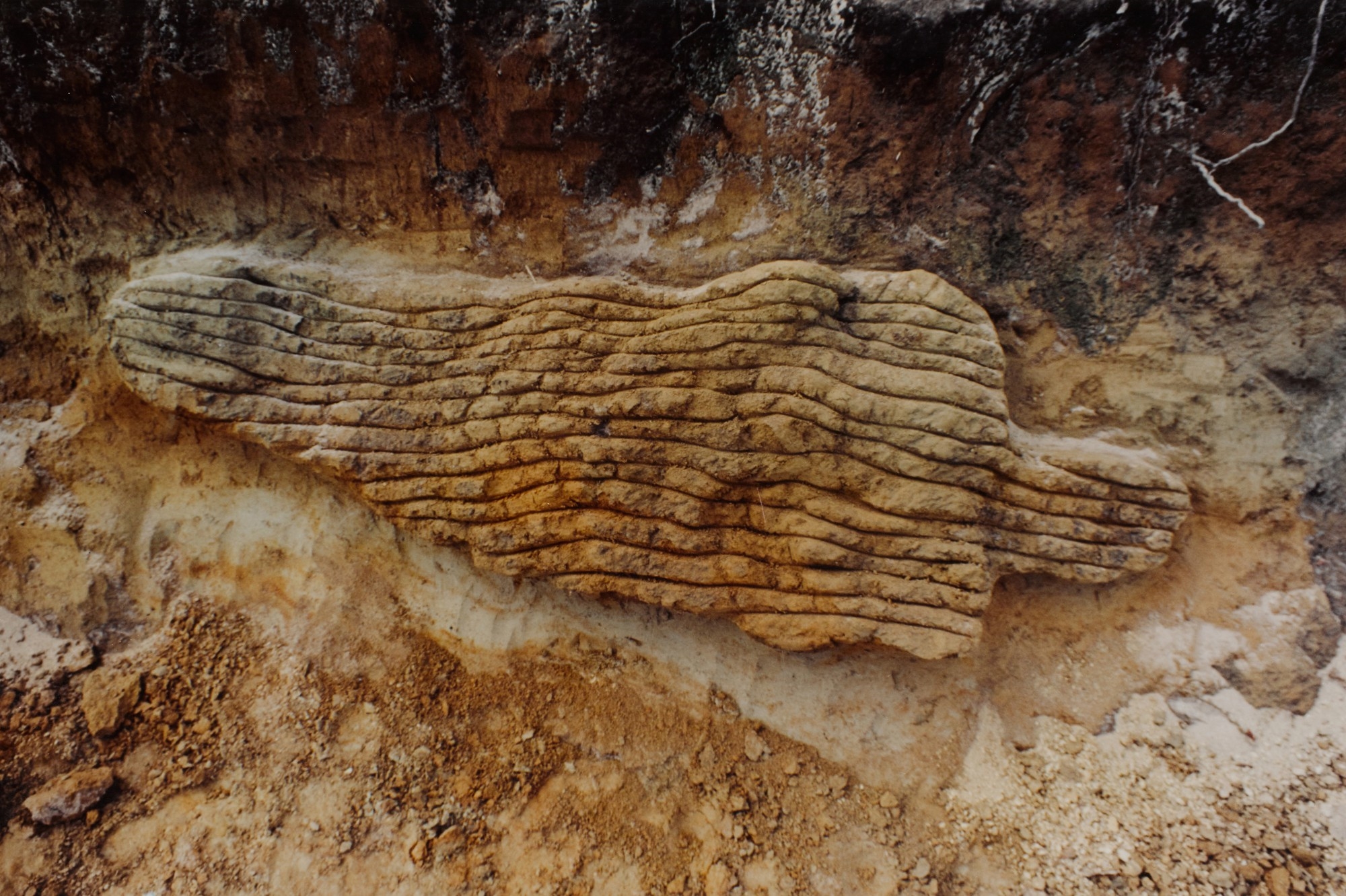 Ana Mendieta | Untitled (Glass on Body Imprints) (1972) | MutualArt