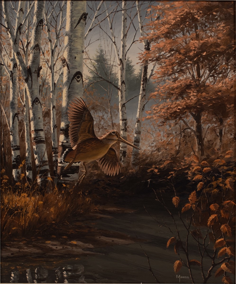 David Maass | WOODCOCK (1965) | MutualArt