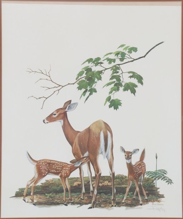 Ray Harm | Whitetail Deer | MutualArt