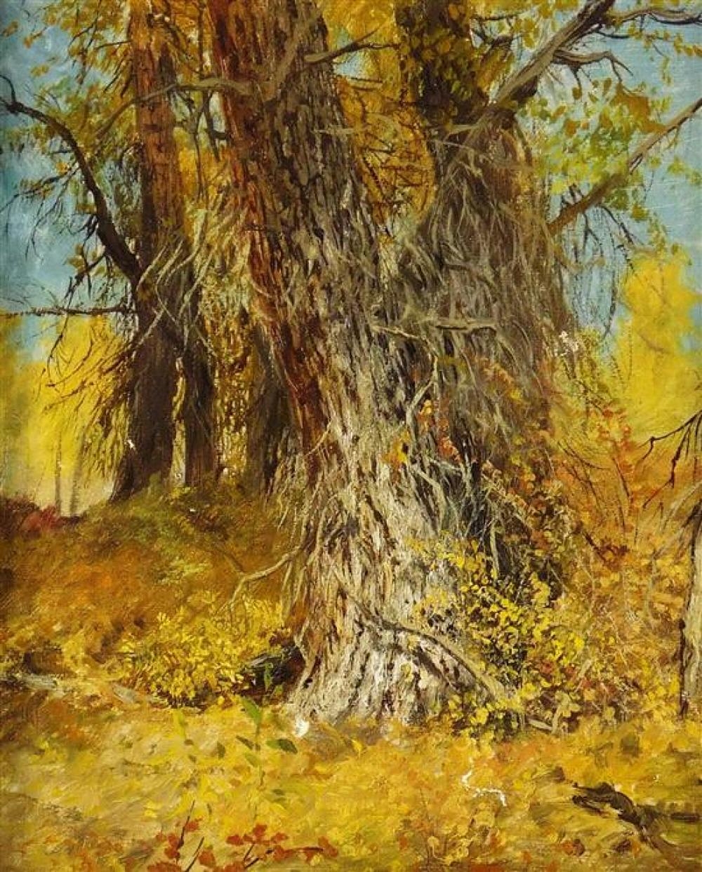 Hamilton Hamilton | Tree trunks covered in many vines and branches ...
