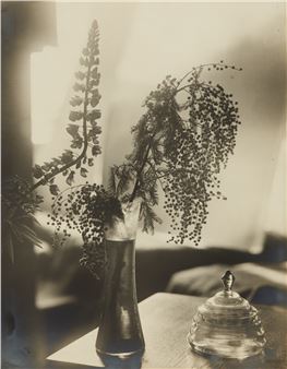 Charlotte Rudolph | AFRIKA DOERING, BERLIN (1930 - 1934) | MutualArt