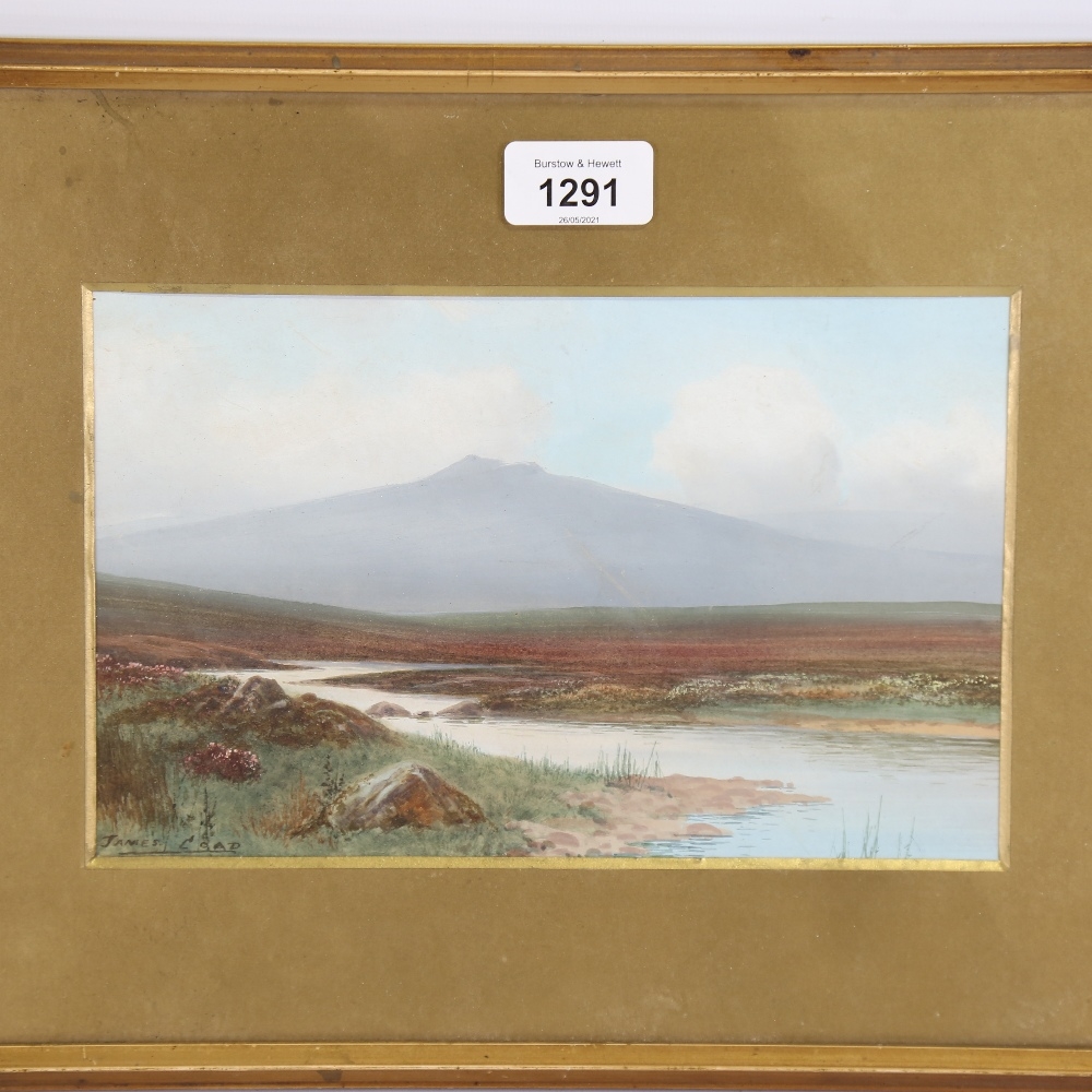 James Coad | moorland landscape | MutualArt