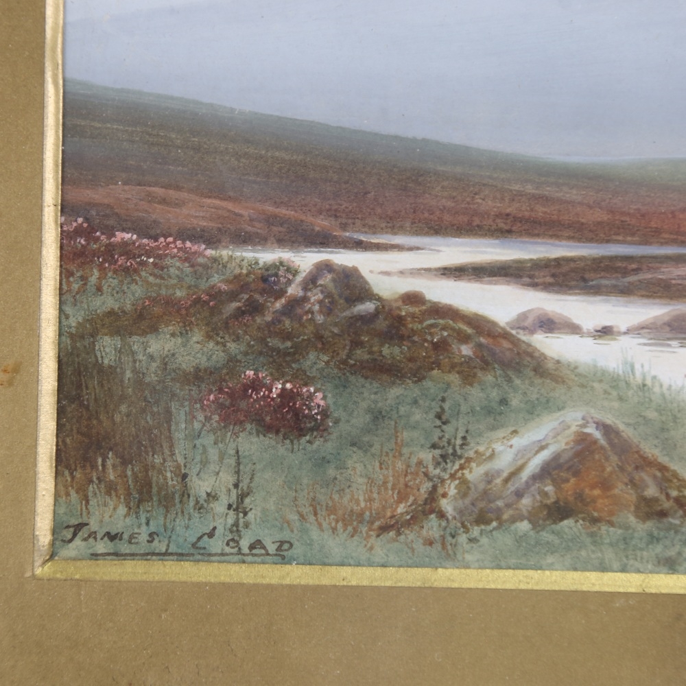 James Coad | moorland landscape | MutualArt