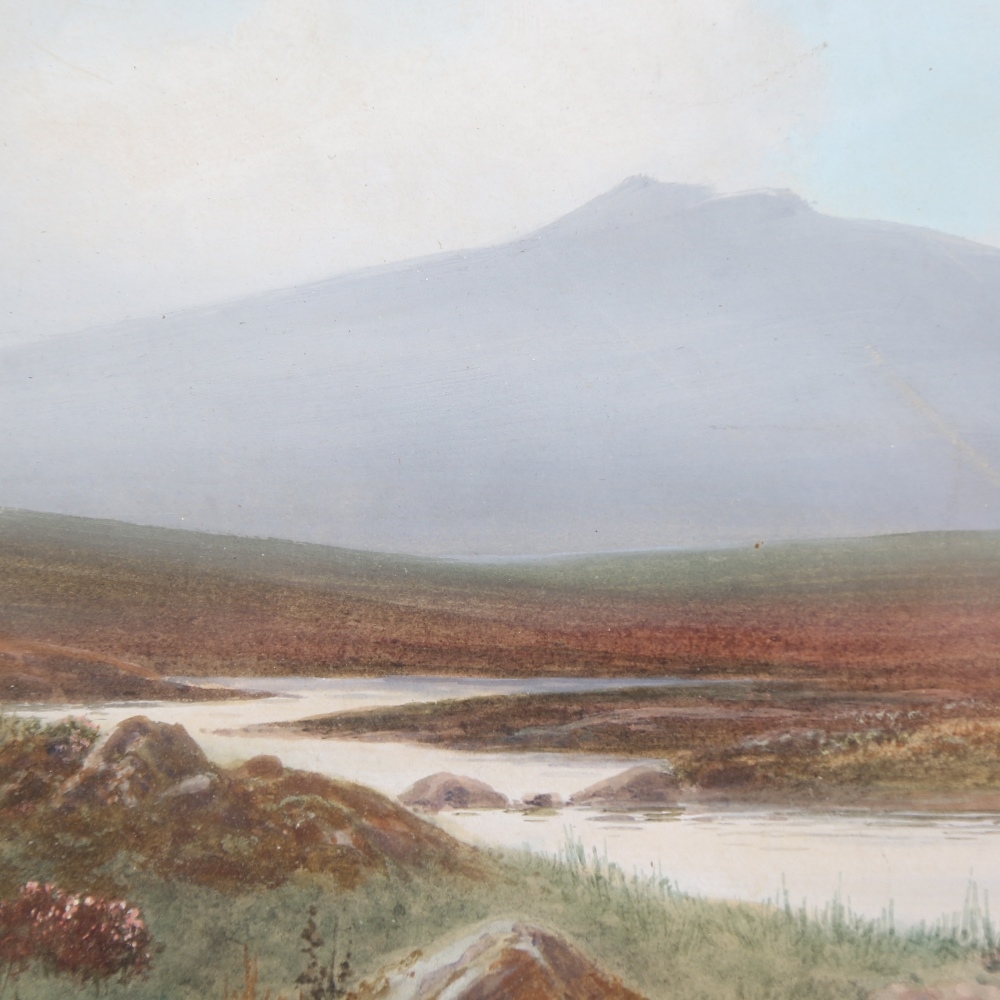 James Coad | moorland landscape | MutualArt