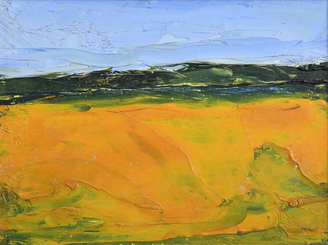 Michael Rowley | Vibrant Meadow | MutualArt