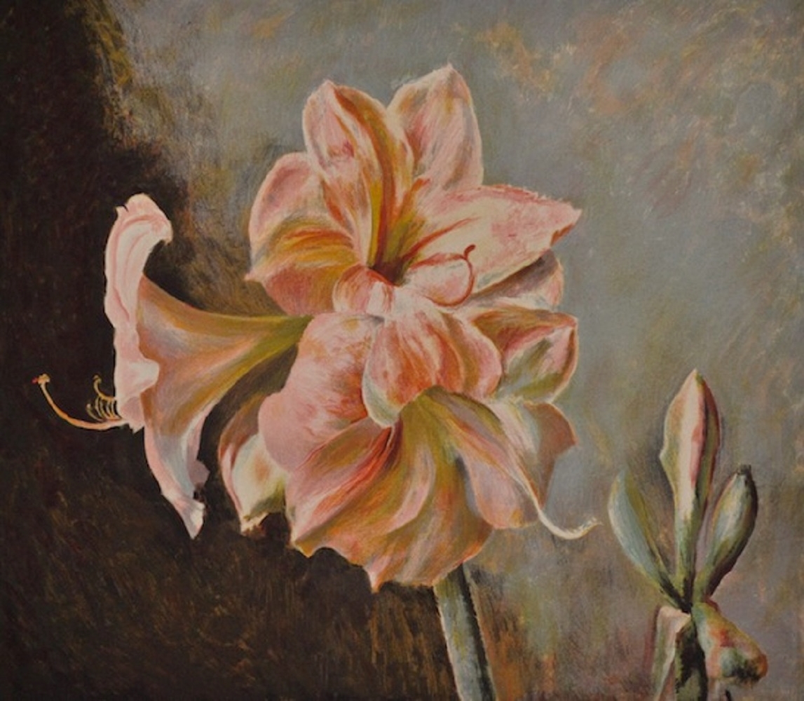 Henriette Wyeth | Pink Amaryllis | MutualArt