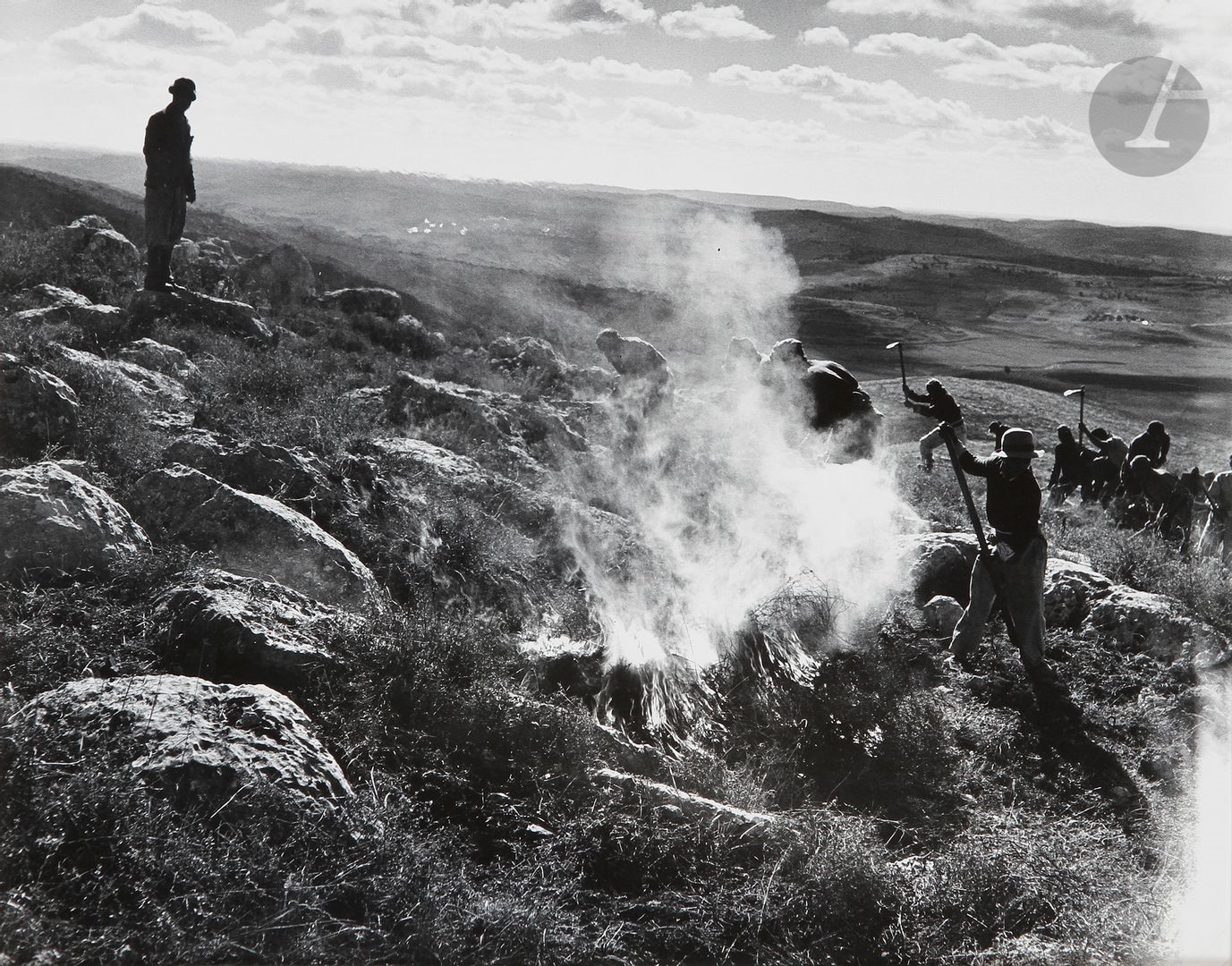 Robert Capa | Israël | MutualArt