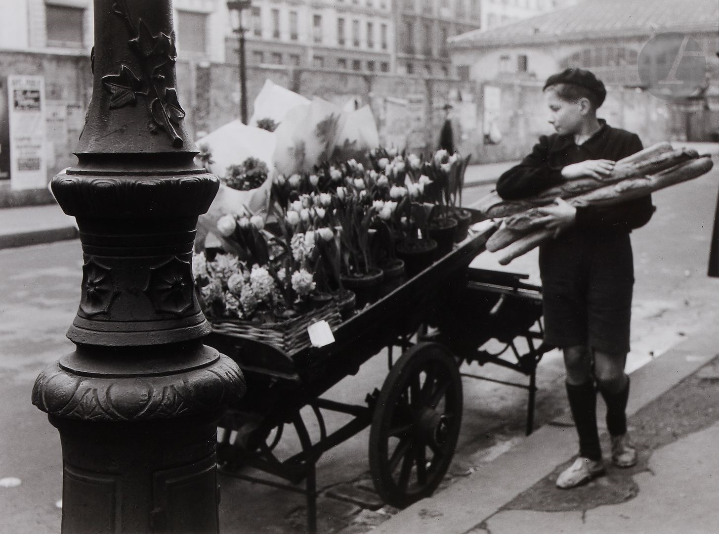 Robert Doisneau | BLAISE CENDRARS DANS SON JARDIN, AIX (1945 - 1950 ...