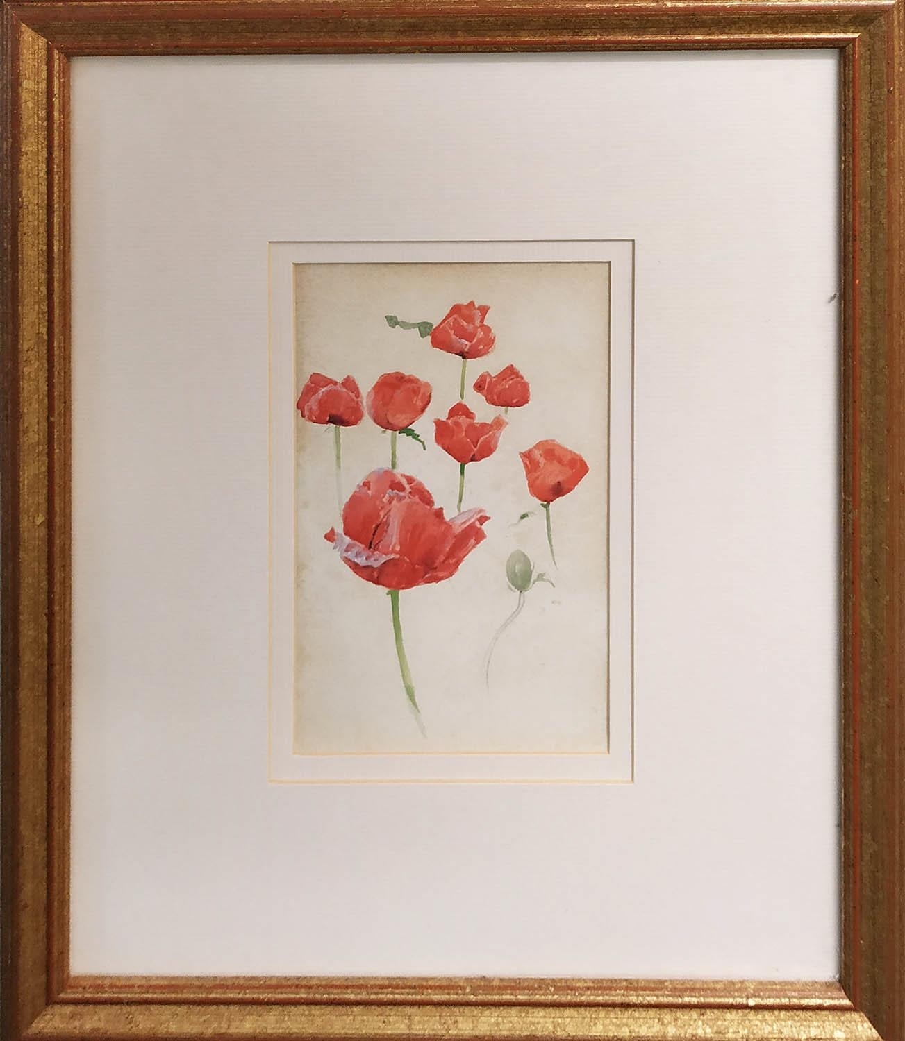 George Franck Nicholls | Study of Poppies | MutualArt