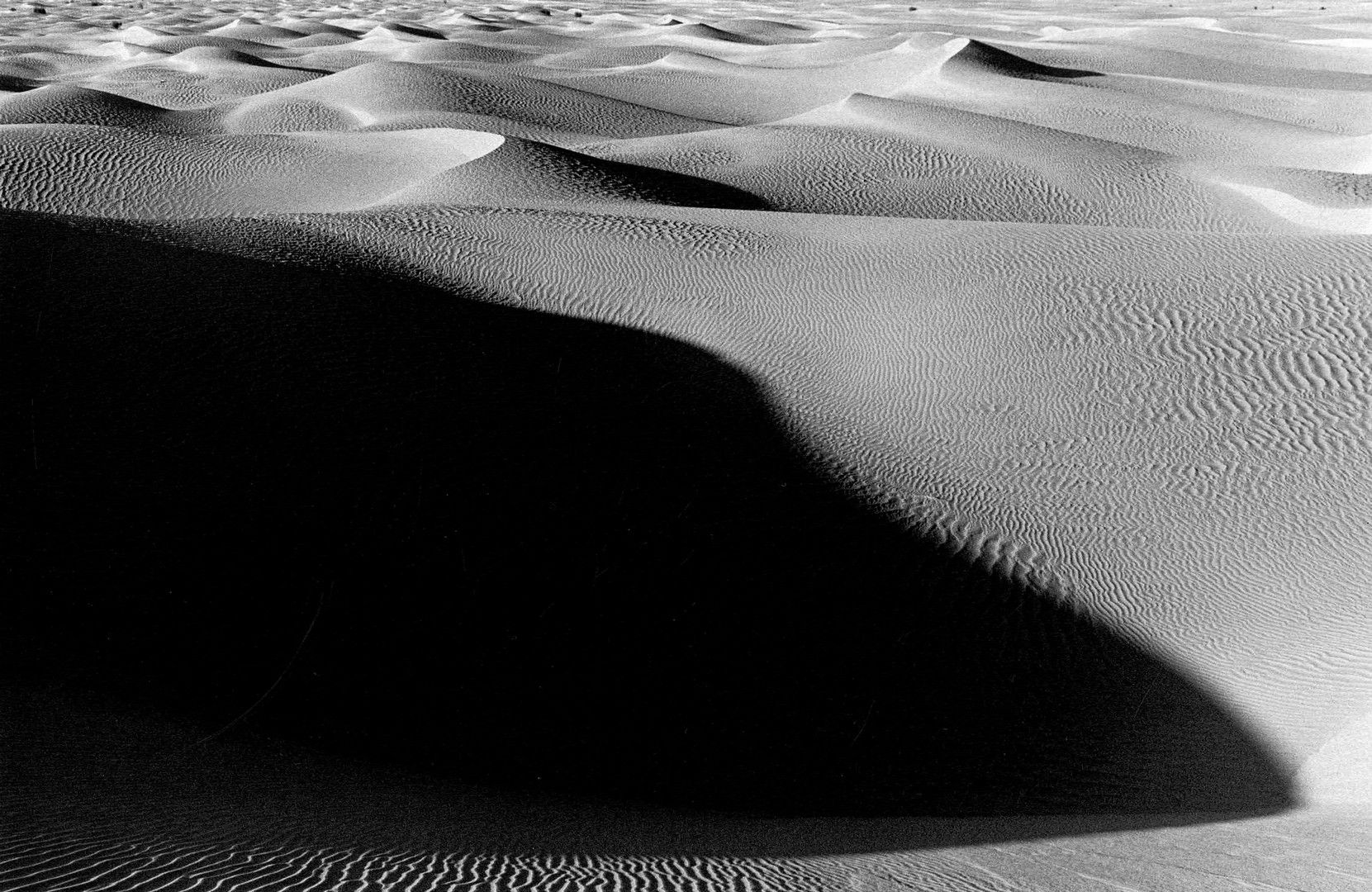 Bernard Descamps | Sahara, 1982. (1982) | MutualArt