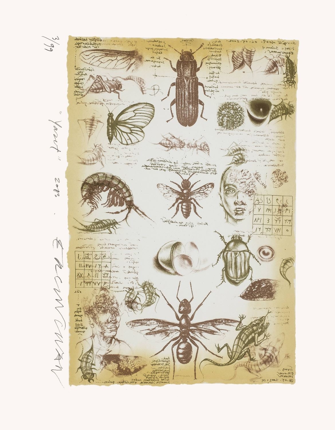 Ergin Inan | Portfolio (2013) | MutualArt