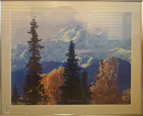 Myron Rosenberg | Denali, Trapper Creek, Alaska | MutualArt