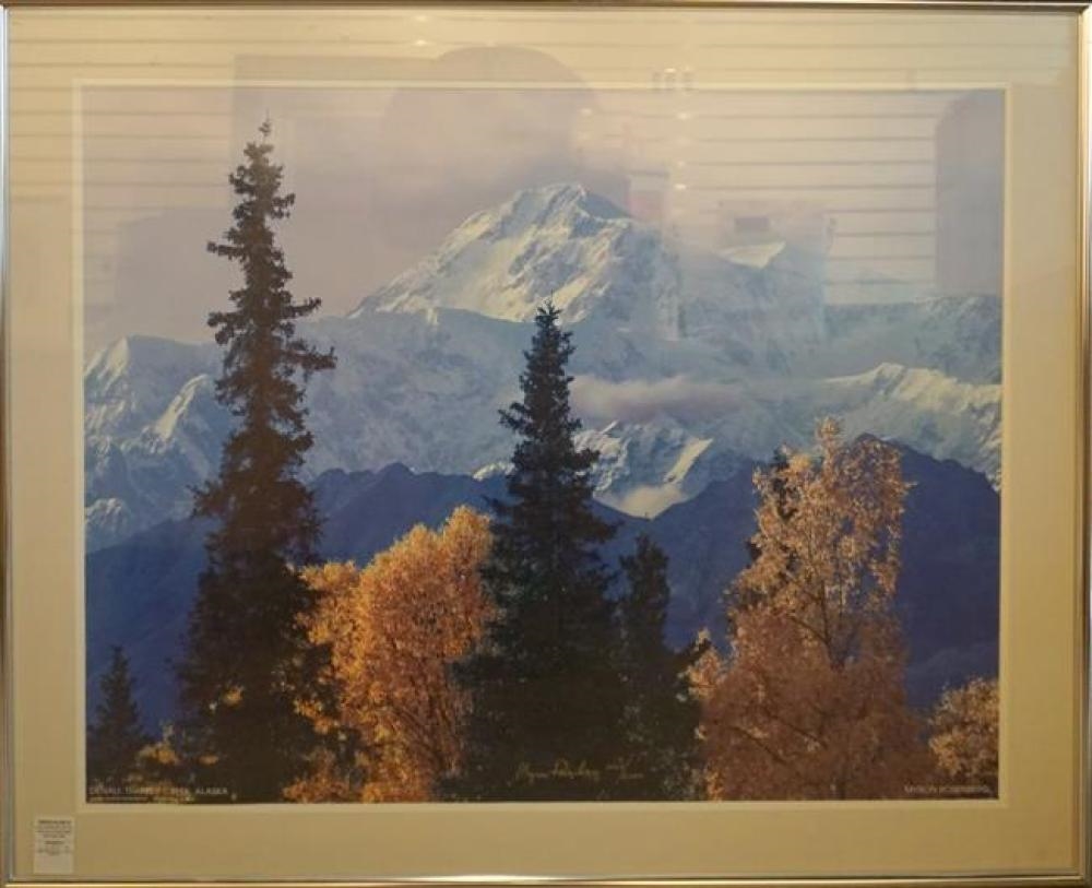 Myron Rosenberg | Denali, Trapper Creek, Alaska | MutualArt