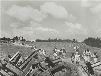 Robert Capa | Israël (1948) | MutualArt