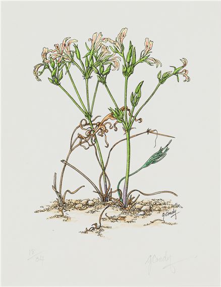 Gillian Condy | 10 Artworks at Auction | MutualArt