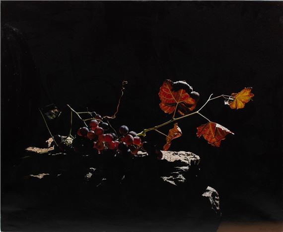 Roberto Bernardi | STILL LIFE | MutualArt