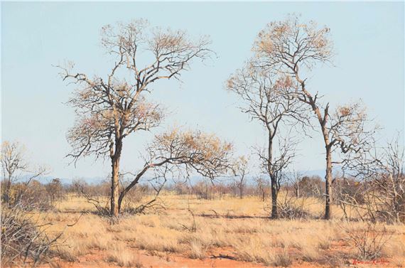 François Koch | Bushveld Landscape with Trees | MutualArt
