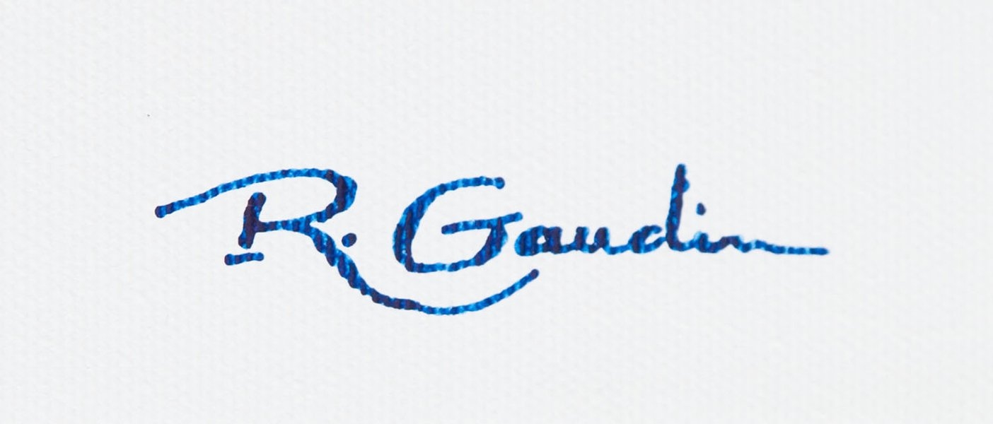 Raphaël Gaudin | Illusion cursive (2021) | MutualArt