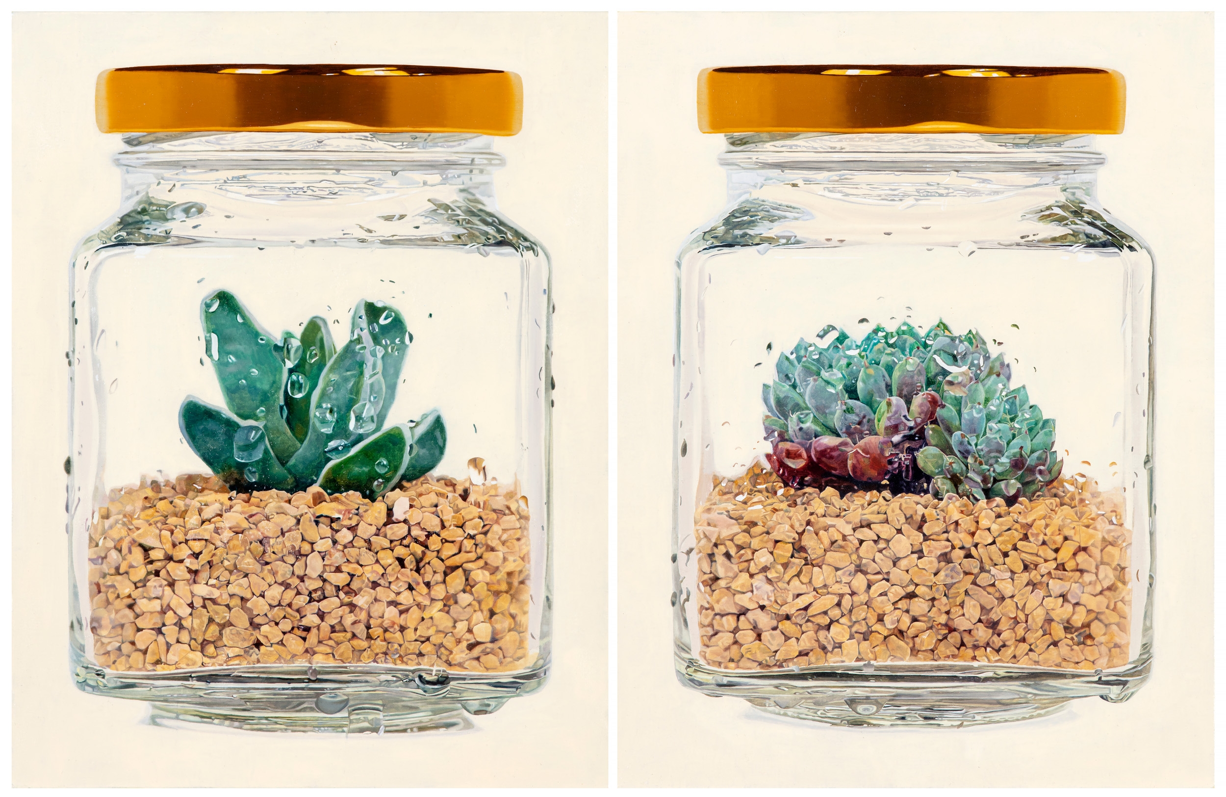 Kim InJi | Cactus (2018) | MutualArt