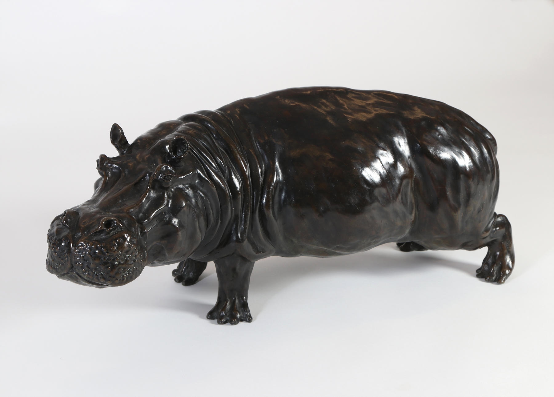 José María David | Hippopotamus | MutualArt
