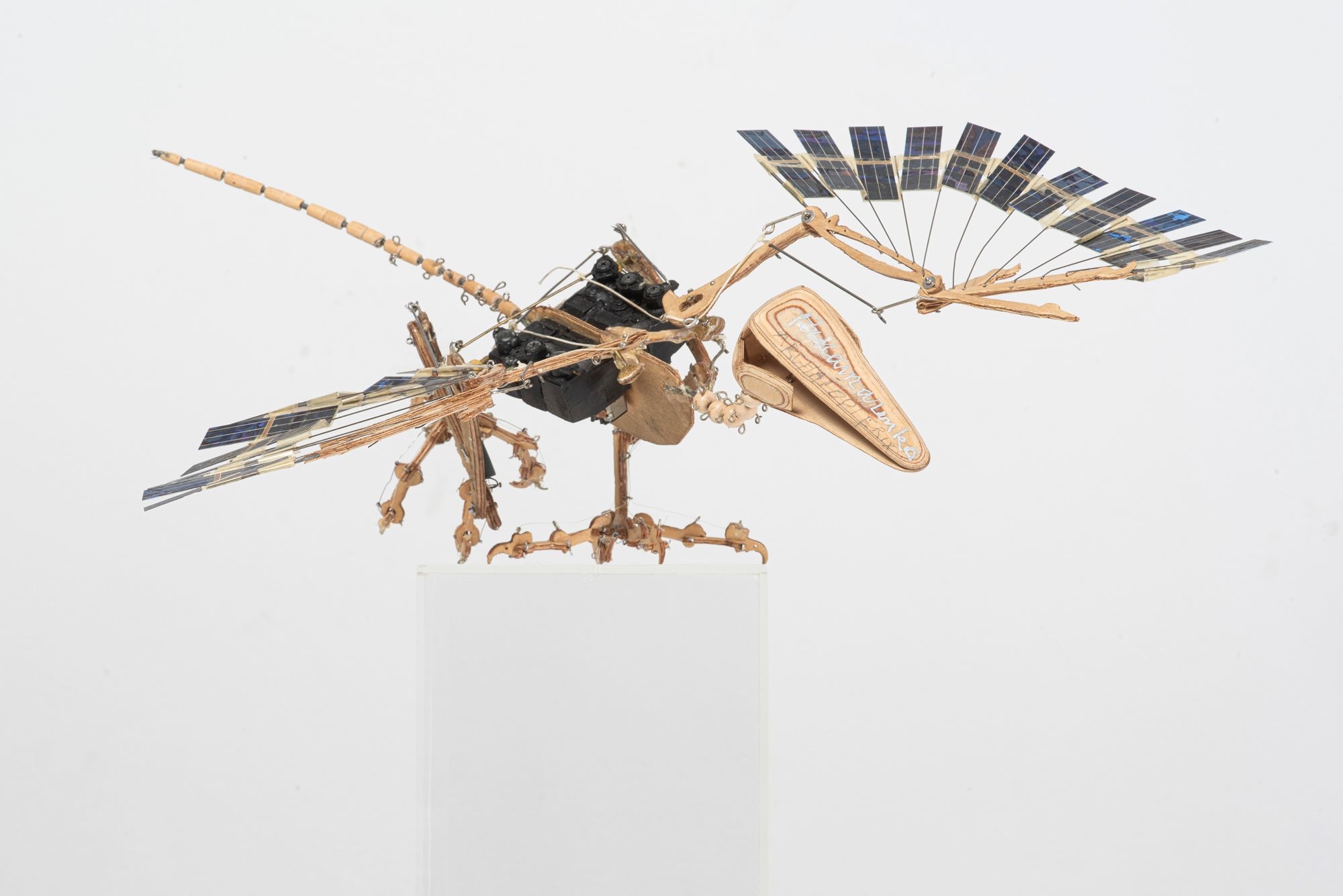 Panamarenko | Archéoptérix IV | MutualArt