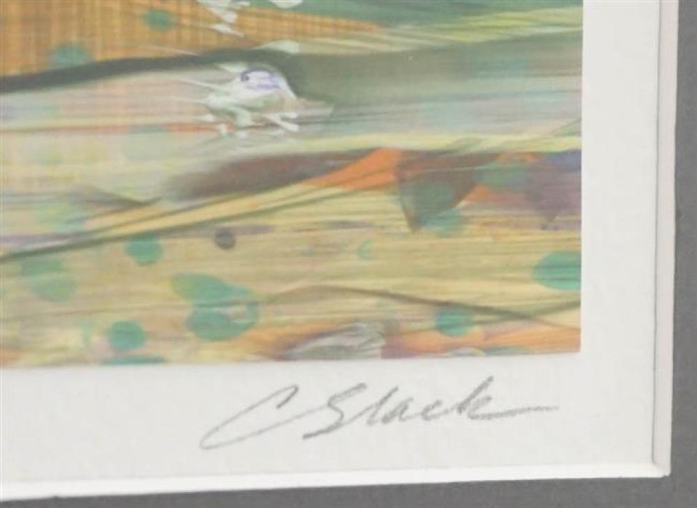 Connie Slack | Abstract Landscape | MutualArt